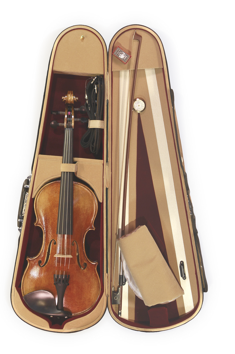 Anton Riegel Violin 4/4-1/16 – Pro Arte Stringed Instruments